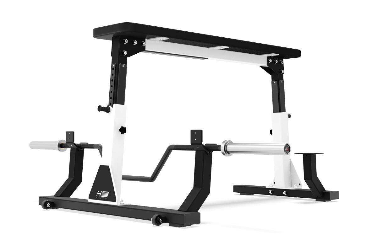 HOLD STRONG Fitness Elite Seal Row Bar – VOGT TRAINING Equipment